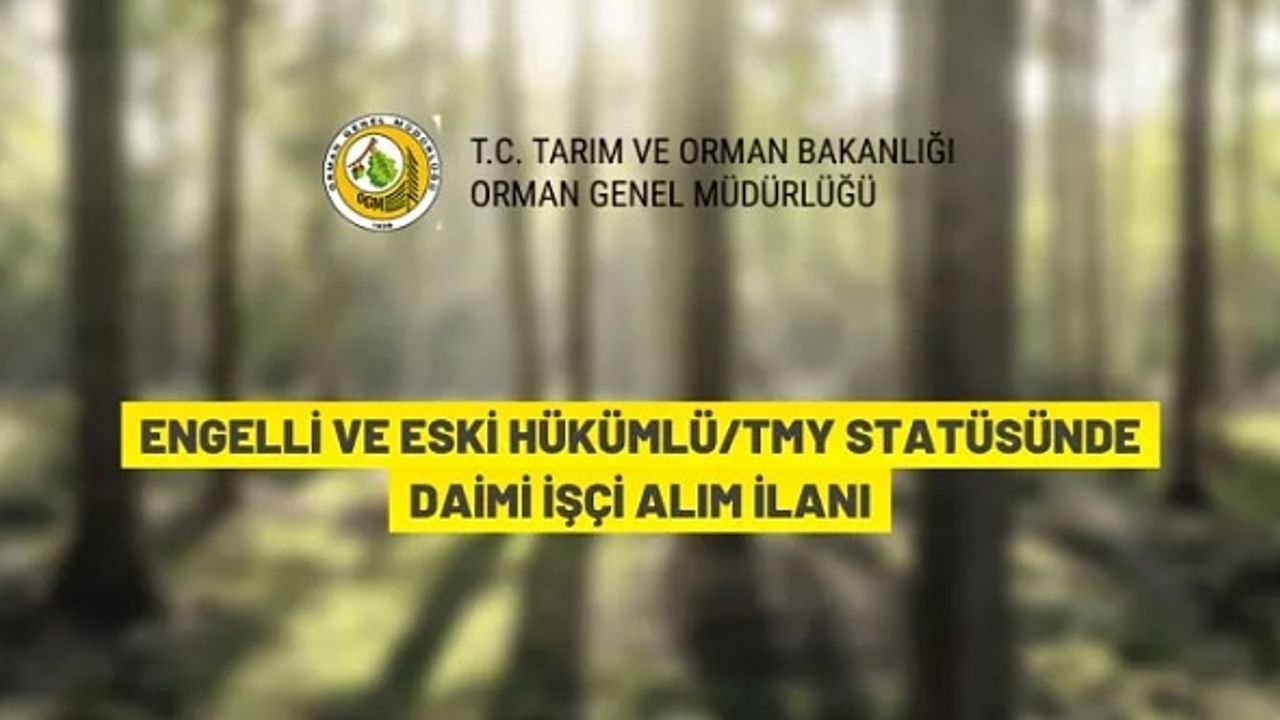 Orman Genel Müdürlüğü 224 daimi işçi alacak - Çorum Haber Gazetesi Orman Genel Müdürlüğü 224 daimi işçi alacak - Çorum Haber Gazetesi